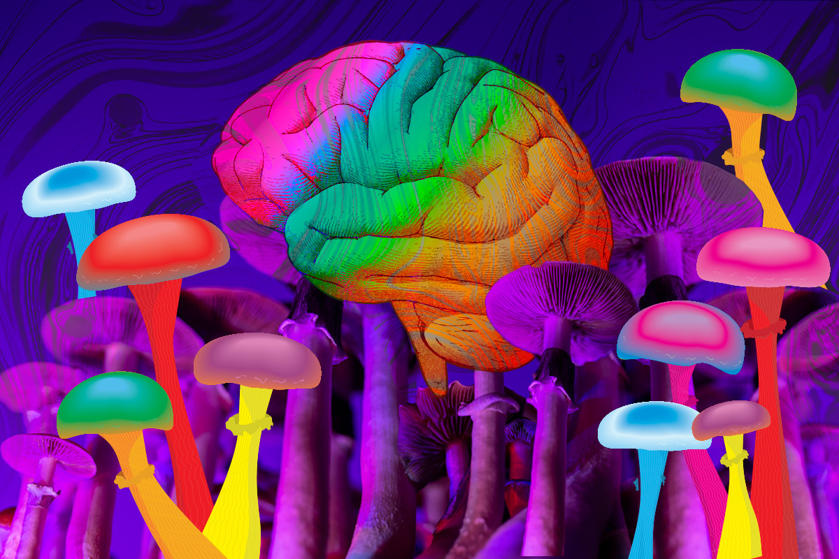 Psychedelics Archives Hollywood Health And Society