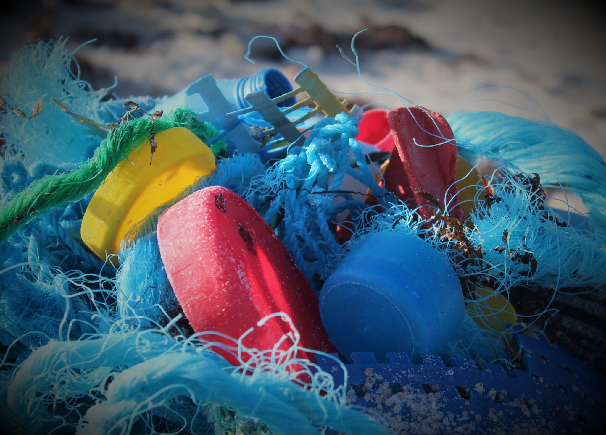 Plastic Pollution Solutions - Hollywood, Health and Society Plastic Pollution Solutions - Hollywood, Health and Society